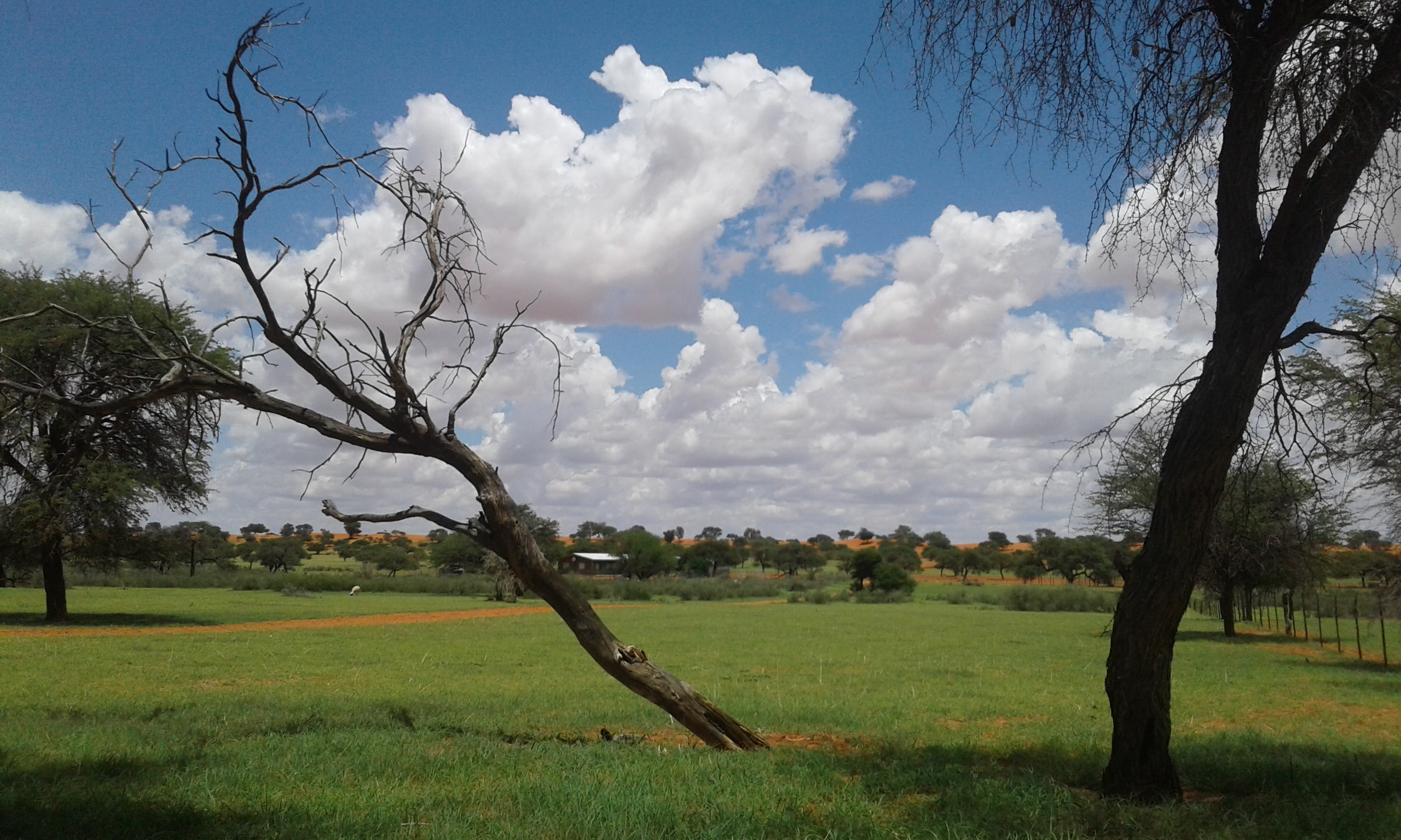 Positioning Yourself For Profit – The Key = Phosphorous Supplementation ...