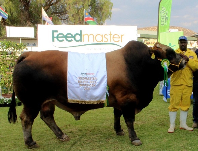 Voer Riglyne vir die Voeding Van Skoudiere | Feedmaster - Your Quality ...
